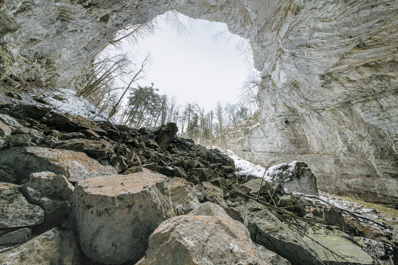 Jamarstvo – Logatec